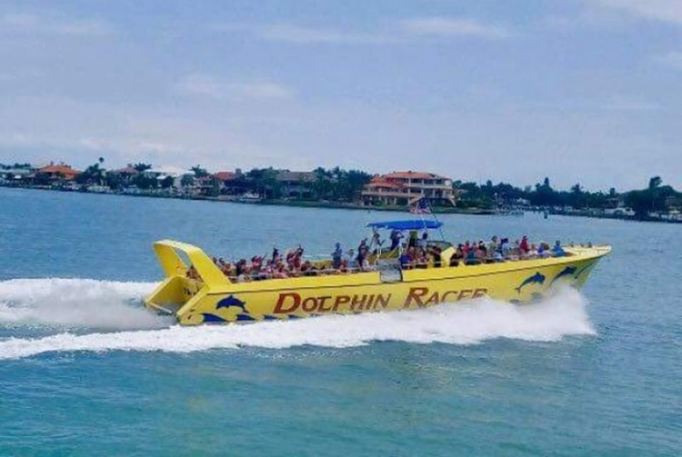St. Pete Beach: Dolphin Racer Cruise by Speedboat - Authentic Insights from Travelers
