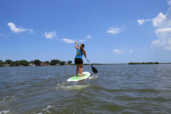 Stand Up Paddle Board Rental in Rose Bay