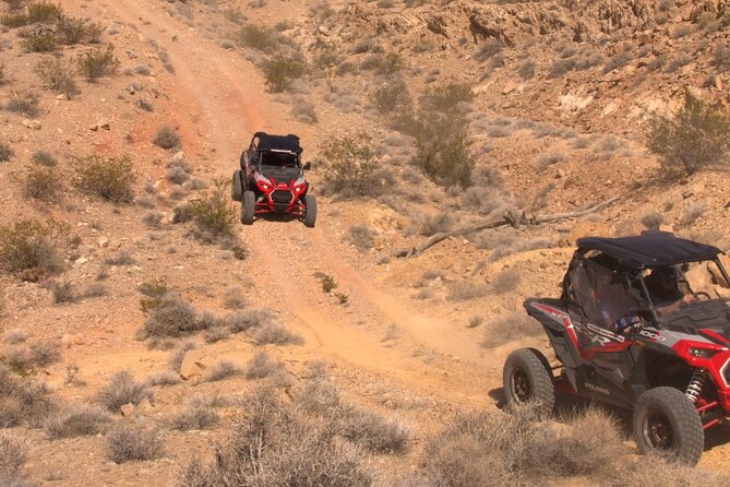 Summer Mojave Desert Twilight RZR Quest in Las Vegas - FAQ