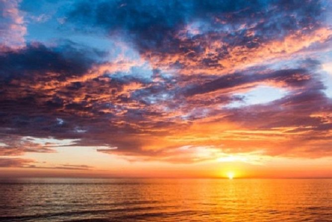 Sunset and Night Cruises Tour - What to Expect from the Tampa Sunset and Night Cruises