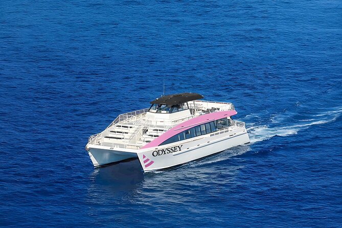 Sunset Cruise & Whale Watching from Oahu - Who Should Consider This Tour?