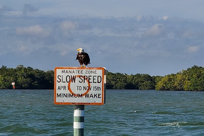 Sunset Dolphin Cruise with Sanibel Lighthouse Views