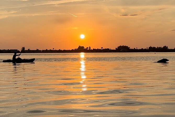 Sunset Kayaking with Dolphins