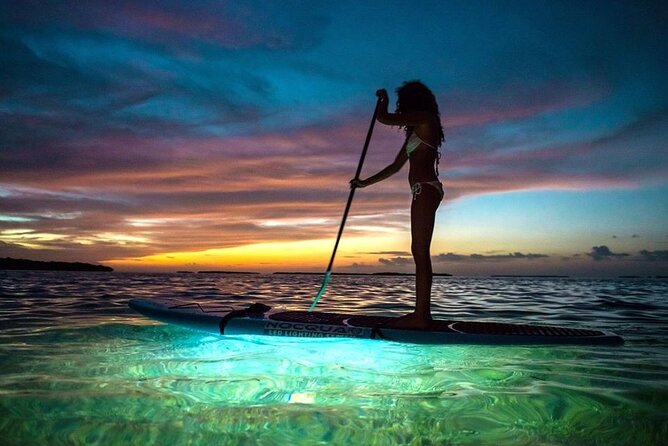 SUNSET Paddleboard Tour - Exploring the Sunset Paddleboard Tour in Miami: An Honest Review