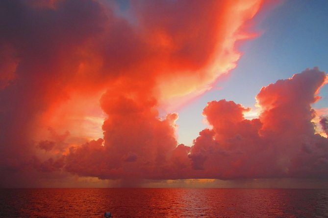 Sunset Sail in Miami: Complimentary Champagne Toast - Who Should Consider This Experience?