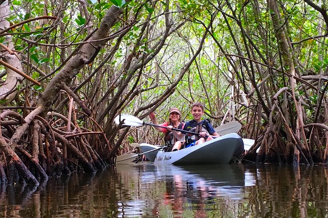 Sunset Tour Mangrove, Dolphins, Manatee #1 Rated in Cocoa Beach - The Experience: What to Expect from Start to Finish