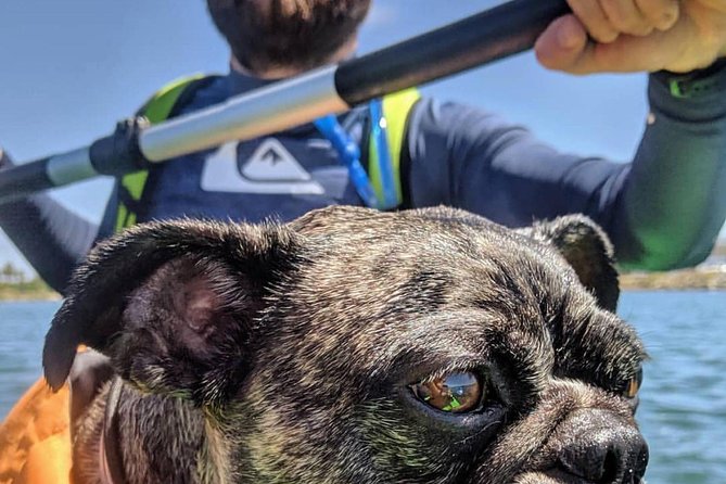 SUP Rental - What to Expect from Your SUP Rental in San Diego