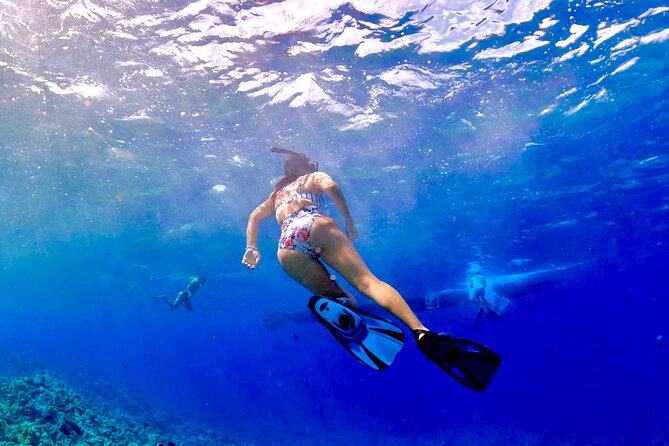 Super Raft - Private Charter Maui 3 Hour Snorkel to Coral Gardens or Molokini - Price and Value: Is It Worth It?