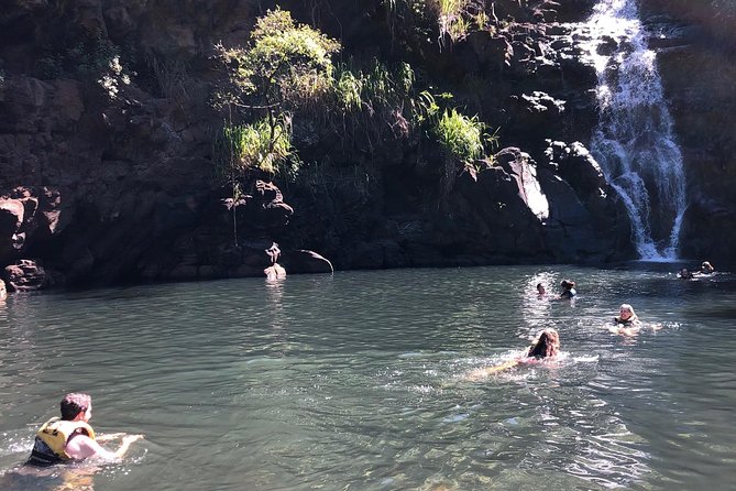 Surf and SeaTurtles Oahu Tour - What Makes This Tour Stand Out