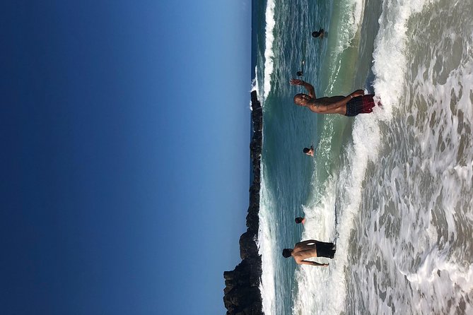 Surf and SeaTurtles Oahu Tour - FAQs