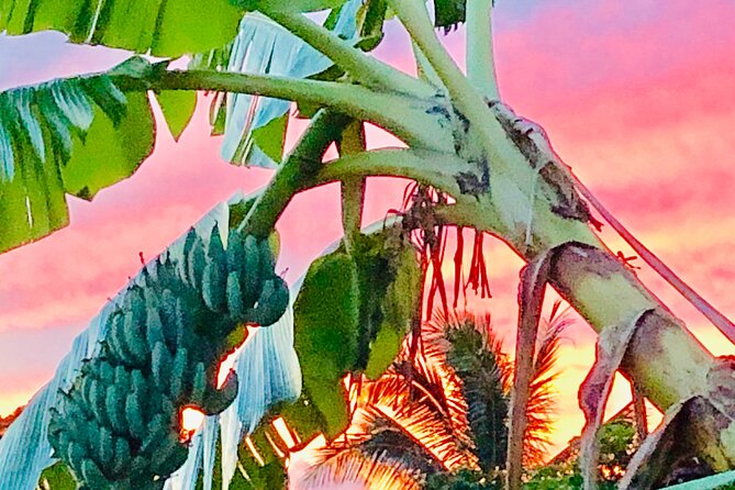 Surf Lessons on the North Shore of Oahu - Additional Practical Information