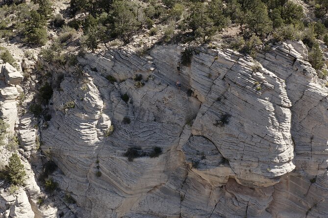 "Tallest in Utah" Via Ferrata & Rappelling (4 hr) - What to Expect on the Tour