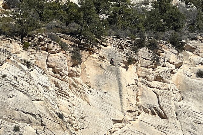 "Tallest in Utah" Via Ferrata & Rappelling (4 hr) - Who Should Consider This Tour?