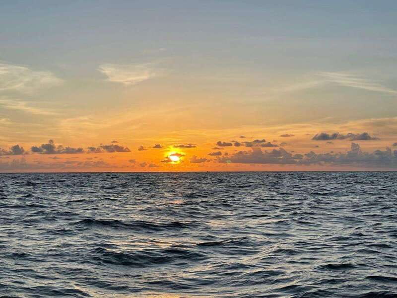 Tampa Bay: Sunset Cruise with Celebrity Homes and Wildlife - What makes this sunset cruise special?