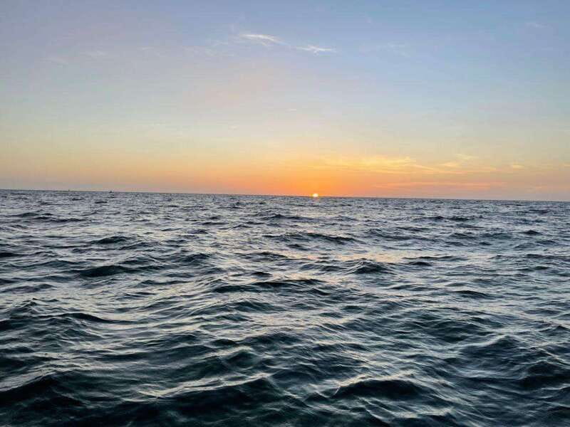 Tampa Bay: Sunset Cruise with Celebrity Homes and Wildlife - What’s Included and What to Bring