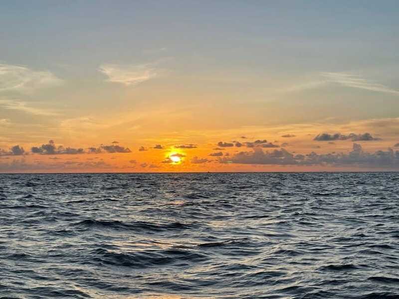 Tampa Bay: Sunset Cruise with Celebrity Homes and Wildlife - Pricing and Value