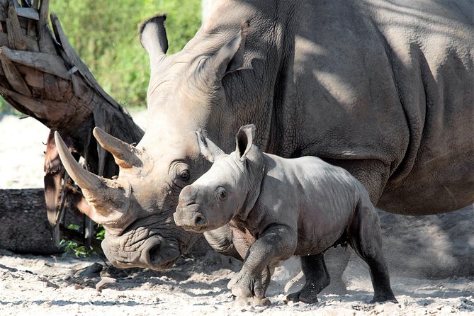 Tampa's ZooQuarium Admission - Final Thoughts