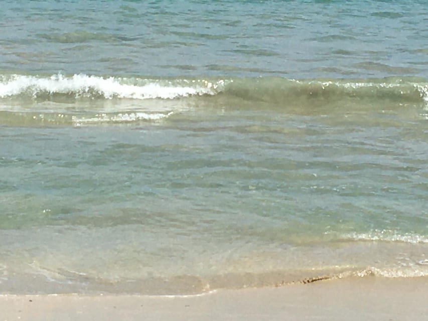 Tanoa Waterfront Hotel to Natadola Beach Round Trip - Key Points