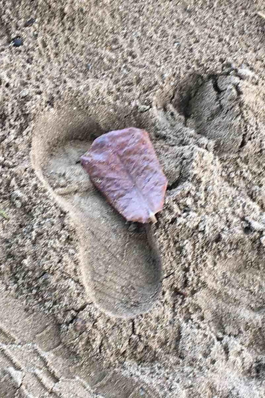 Tanoa Waterfront Hotel to Natadola Beach Round Trip - What’s Included and What’s Not