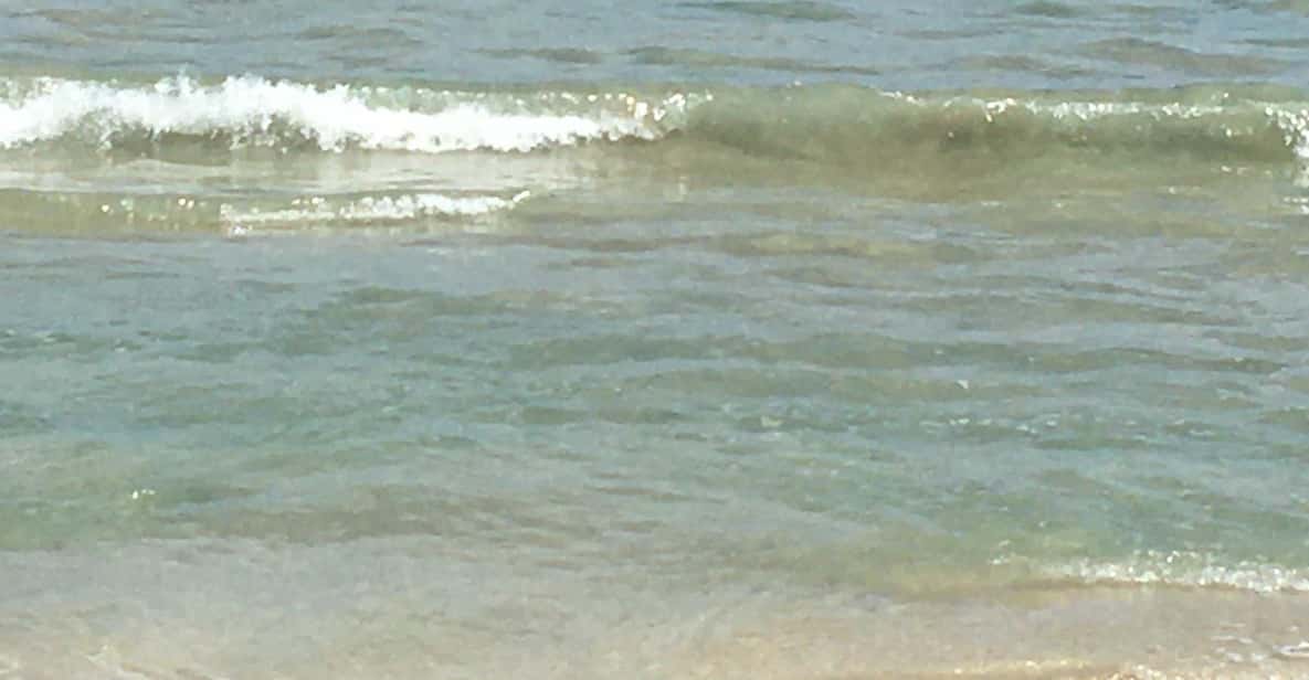 Tanoa Waterfront Hotel to Natadola Beach Round Trip - Practical Tips for Travelers