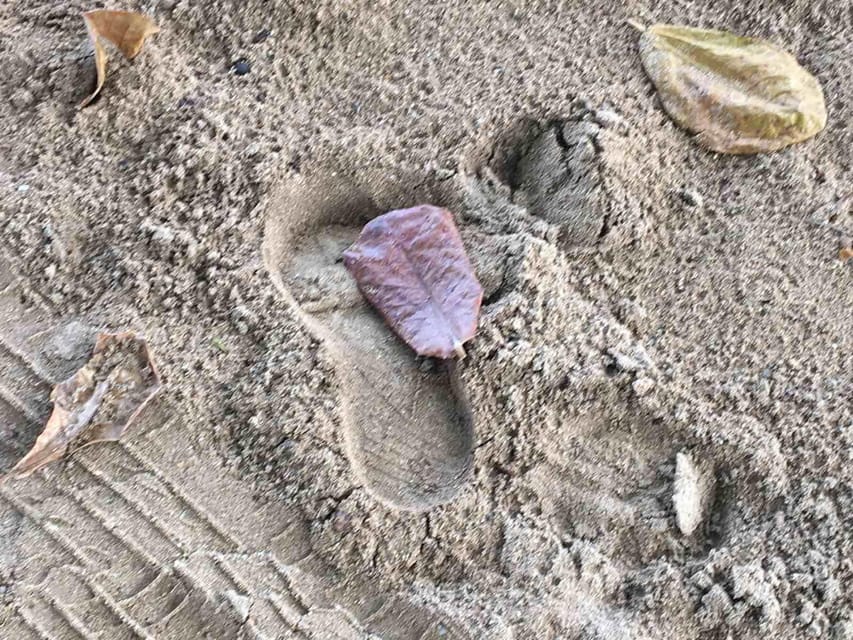 Tanoa Waterfront Hotel to Natadola Beach Round Trip - Why Choose This Tour?