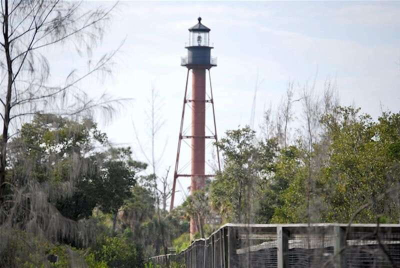 Tarpon Springs: Evening Dolphin Cruise - Is It Worth the Price?