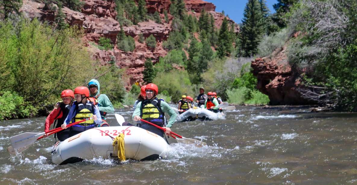 Telluride 1 Day Rafting Trip with Lunch - San Miguel River - Practical Details and Gear