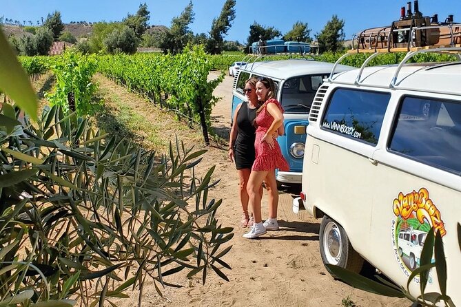 Temecula Wine Tour – The Ultimate California Experience