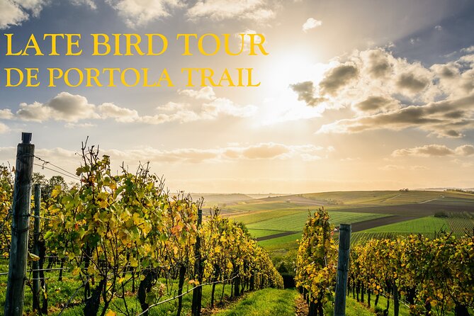 Temecula’s Premier Wine Tasting Tour