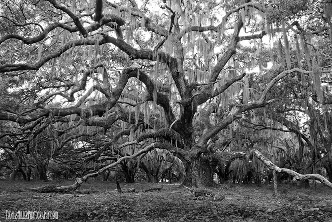 The Blackest Ghost Tour Ages 17 and Above - What You Can Expect During the Tour