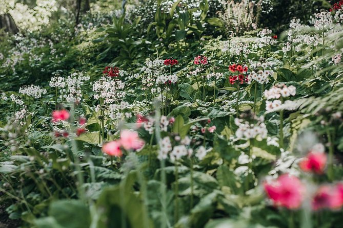 The Bloedel Reserve & Sightseeing - Who Will Love This Tour?