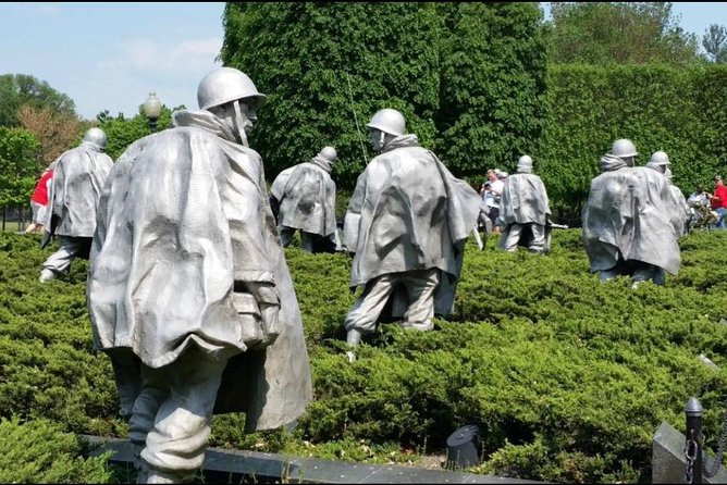 The DC Cherry Blossom Tour - Authentic Insights from Reviewers