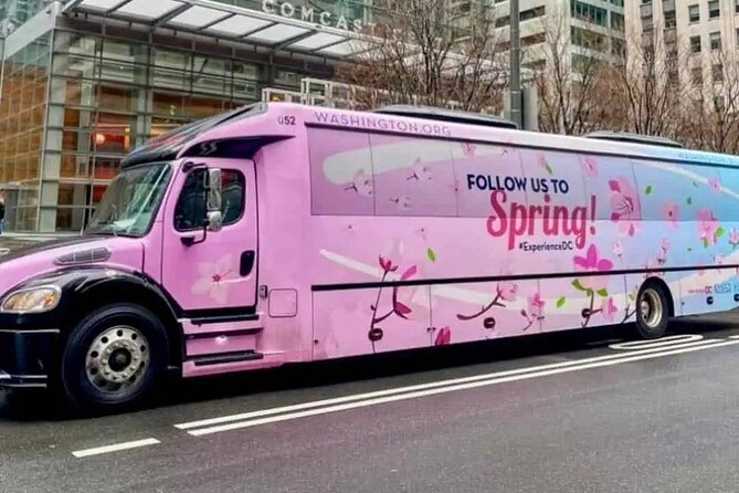 The DC Cherry Blossom Tour - Final Thoughts: Is It Worth It?