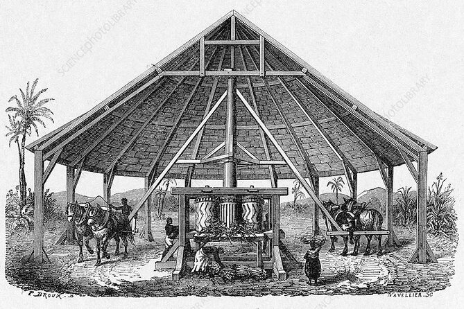 The History of Slavery in Louisiana Tour - Practical Details and Considerations