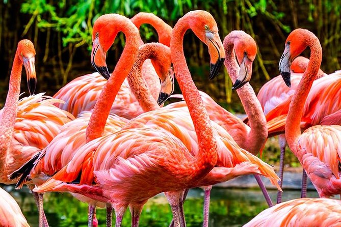 The Miami Sightseeing Day Pass: 35+ Sun-Soaked Attractions & Tours - What Does the Pass Get You? Analyzing the Value