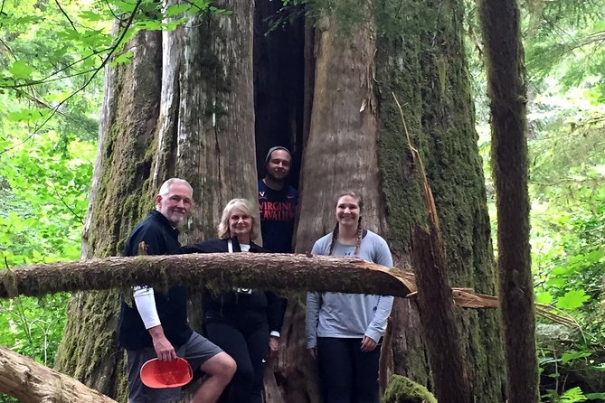 The Mt St Helens Adventure Tour from Portland - Practical Details and What You’re Getting