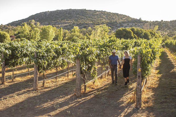 The Original 4 Winery Tour with Charcuterie