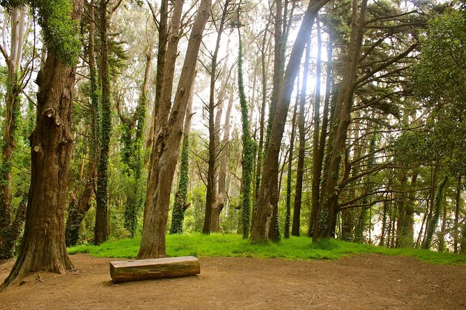 The Presidio: Main Post to the Golden Gate Bridge - The Sum Up: Is This Tour Right for You?