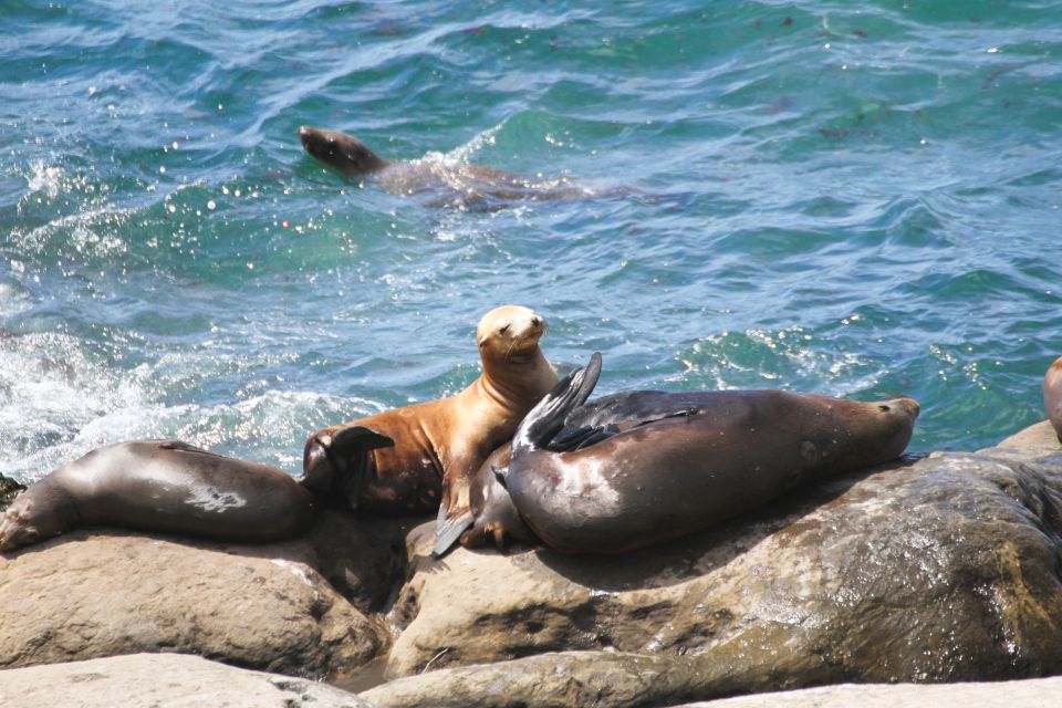 The San Diego Highlights Tour - Why This Tour Will Appeal to You