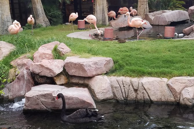 The Vegas Mob Tour - Who Would Love This Tour?