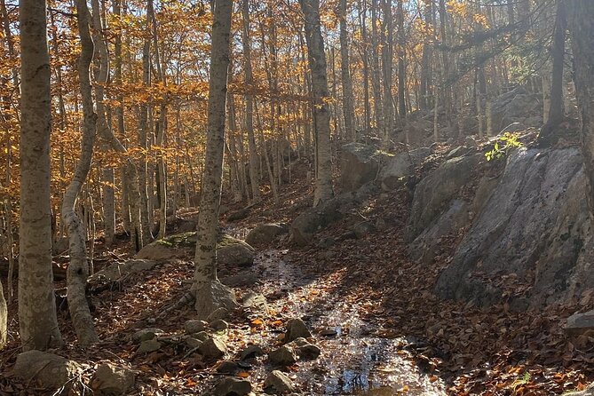 The Way Life Should Be: 4-hr, Private Guided Tour of Acadia NP. - FAQ
