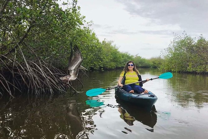 Thousand Island Mangrove Tunnel, Manatee & Dolphin Kayak Tour w/Cocoa Kayaking