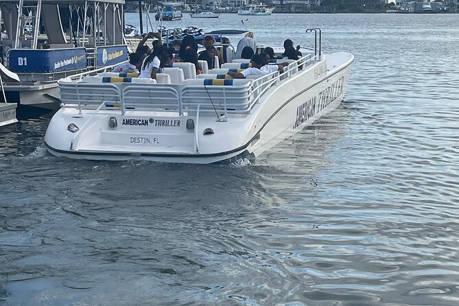 Thriller Sunset Dolphin Cruise in Destin Harbor - Who Will Love This Experience?