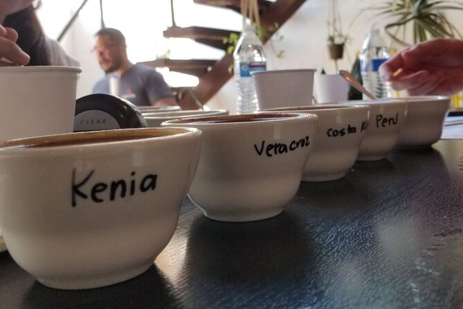 Tijuana Mexico Coffee Shop Hop from San Diego - Opportunities to Consider