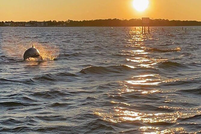 Top Shelf Tikis- Sunset Cruise 1.5hr - Key Points