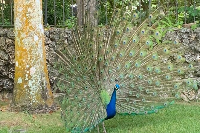 Tour Miami - Final Thoughts: Is It Worth It?