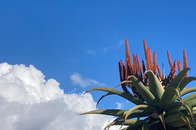 Tours of Santa Barbara - Final Thoughts