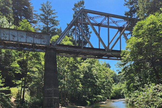 Train Ride Adventure through Mother Natures Giant Redwoods Park - Authentic Insights from Reviews