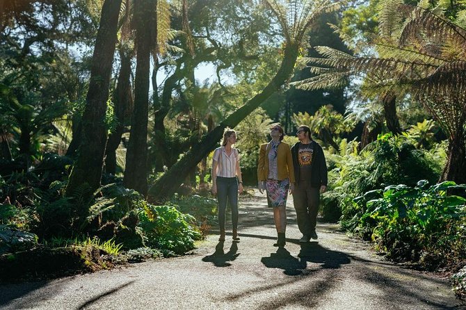 Treasures of San Francisco: Golden Gate Park Private Tour - An In-Depth Look at the Tour Experience