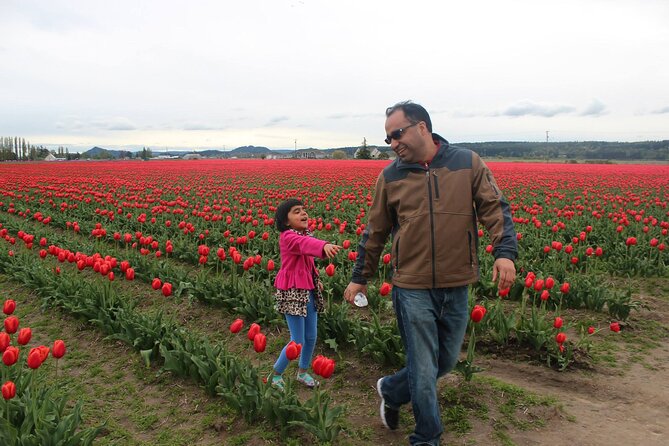 Tulip Festival at Skagit Valley ,La Conner and Deception Pass - The Practicalities: What to Expect